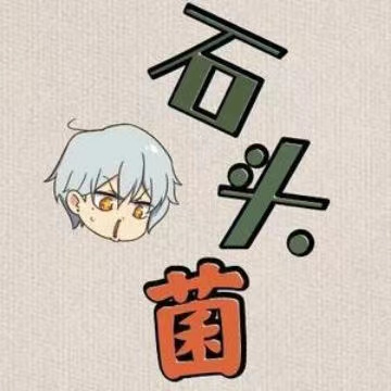石头菌动漫 