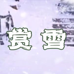 临栏赏雪 