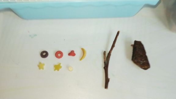 仓鼠不磨牙会死吗?