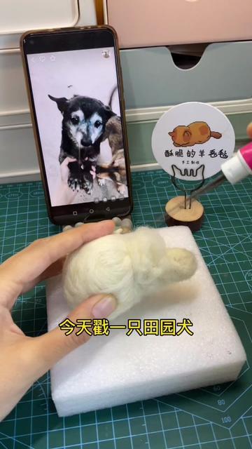 不光戳猫咪,还有狗狗哦羊毛毡,手工,手工diy,戳戳乐,宠物