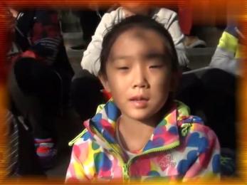 小学生爱国实践活动