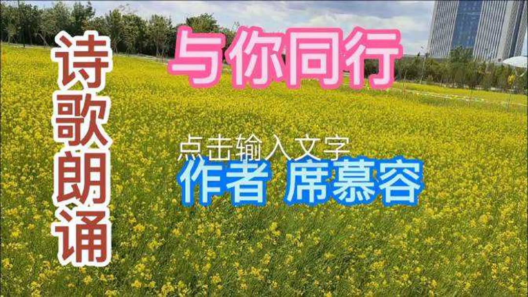 伊姐(伊人)为您深情诵读一首席慕容的诗《与你同行》。