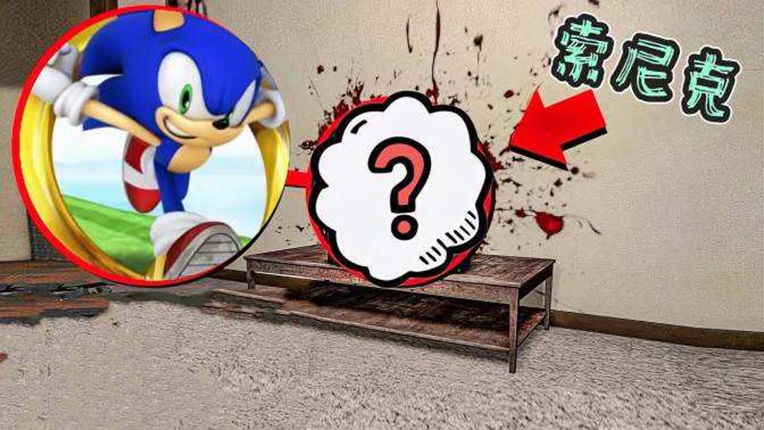 盖瑞模组:铁憨憨三人又遇到索尼克,被追到处跑太搞笑了。