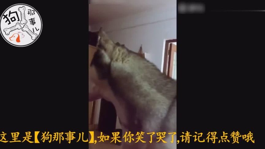 说你是话痨你就回应,你说你是不是傻,是不是傻