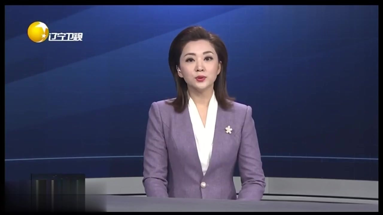辽宁省公开第二轮中央生态环境保护督查整改方案