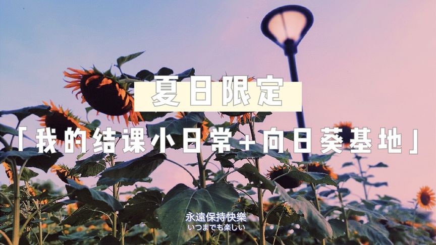 时间管理 | 红茶味的论文报告+帮妈妈拍向日葵味乡村大片