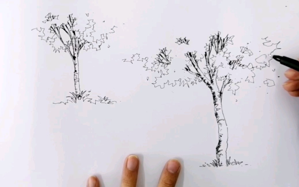 建筑景观配景“树干”手绘画法教学视频( 合一设计教育 )