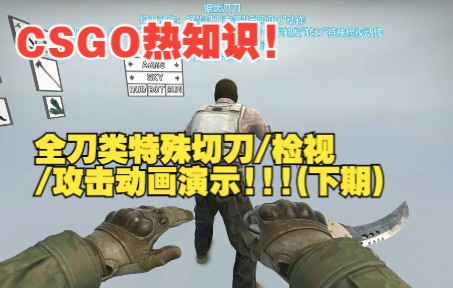 CSGO热知识⑦:[下期]全网最全CSGO全刀类特殊动作检视!