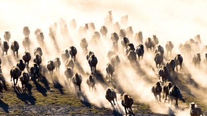 古代打仗没有卫星如何判断敌军有多少人?这方法真的太牛了!