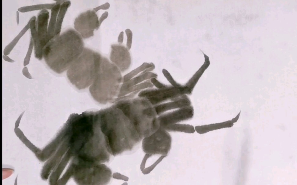 [国画]螃蟹画法