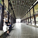 小鸡小鸡田小鸡 