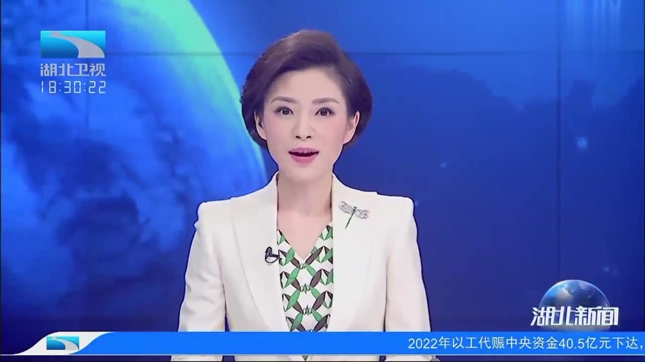 巩固拓展脱贫攻坚成果同乡村振兴有效衔接考核评估省级工作.