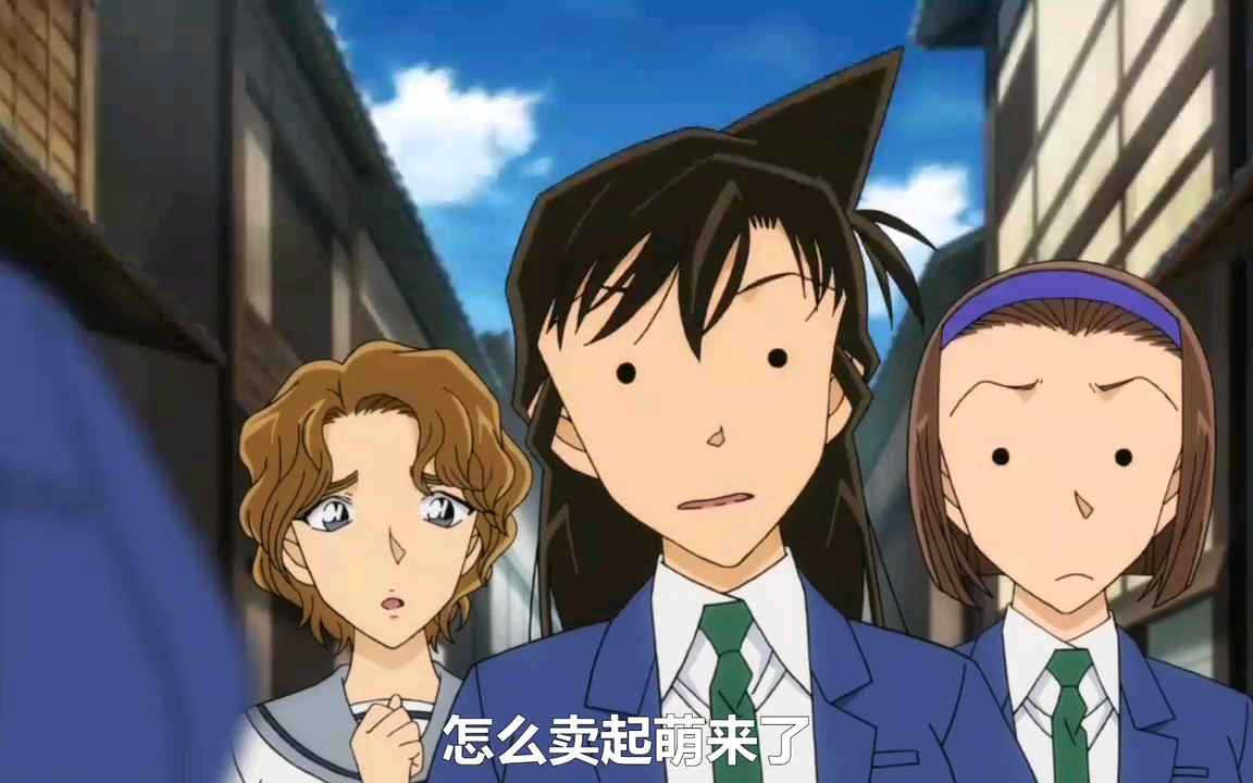 柯南红色修学旅行篇 后篇,习惯柯南的,啊莱莱 新一说漏嘴,听的小兰一...