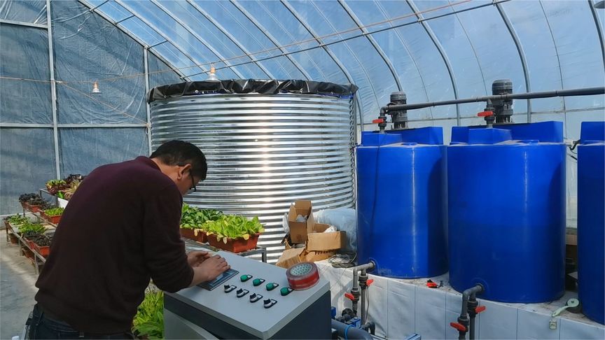 无土栽培种的番茄开始施肥,掌握好技巧,都能学会种