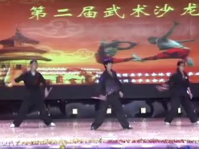 第二届北京社会管理职业学院武术文化沙龙活动5