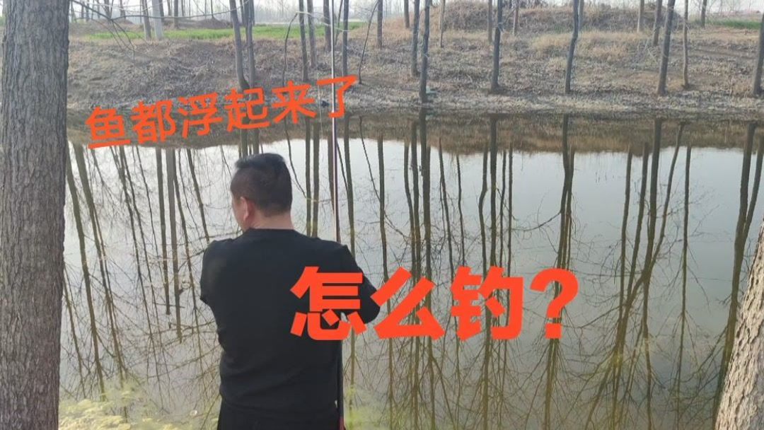 大哥去野钓却发现鱼都浮在水面上,看他怎样一招搞定