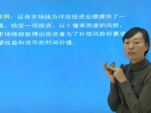 10.第9章 资本资产定价模型(2)