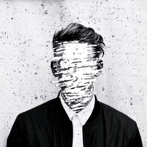 她曾说爱已迟暮 