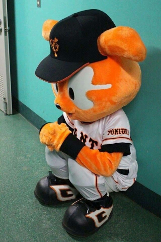 野球宅双担 