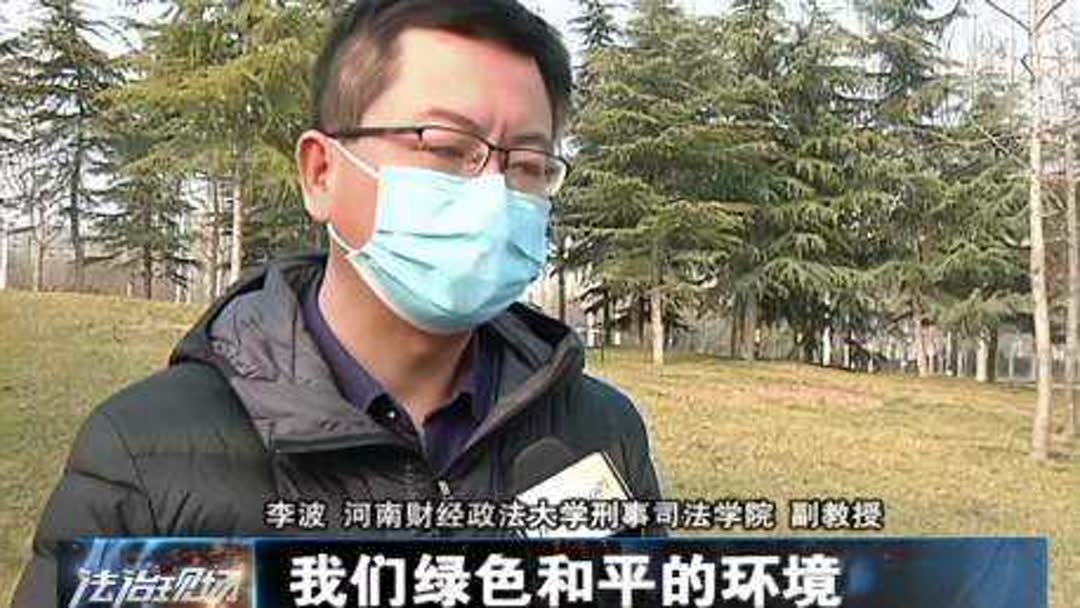 四人非法捕捉野生蛙类,涉及违法行为,非法捕捉野生动物已入刑法