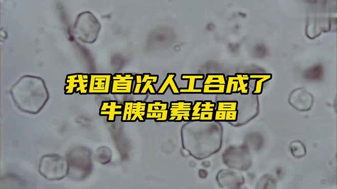 54年前的今天,我国首次人工合成了牛胰岛素结晶,领先于全世界!