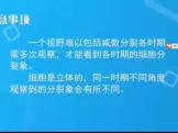 高一生物必修二减数分裂和受精作用(三)