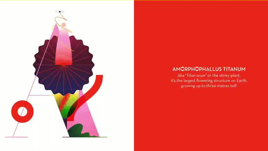 26个英文字母图形设计,Design By-Lorena G,lorena-g.com