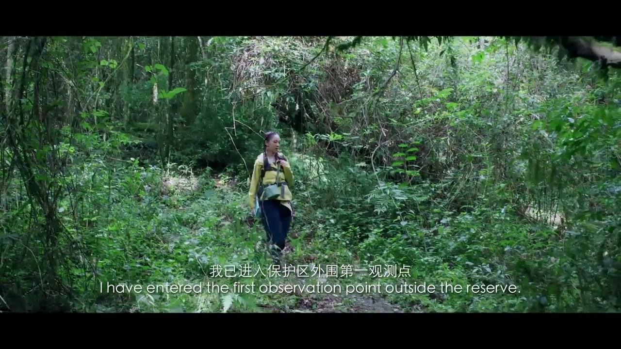记者日前从保山市委宣传部了解到,以生物多样性为题材的电影--《花开.