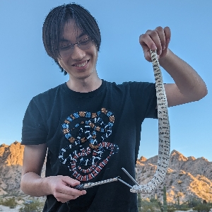 骆老师啊 