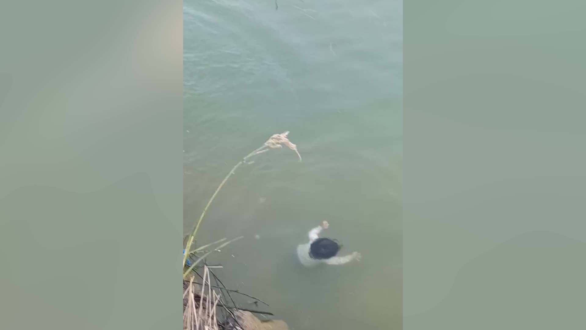 女孩河边玩耍不小心落水,陌生女子不顾安危:勇敢跳水救人