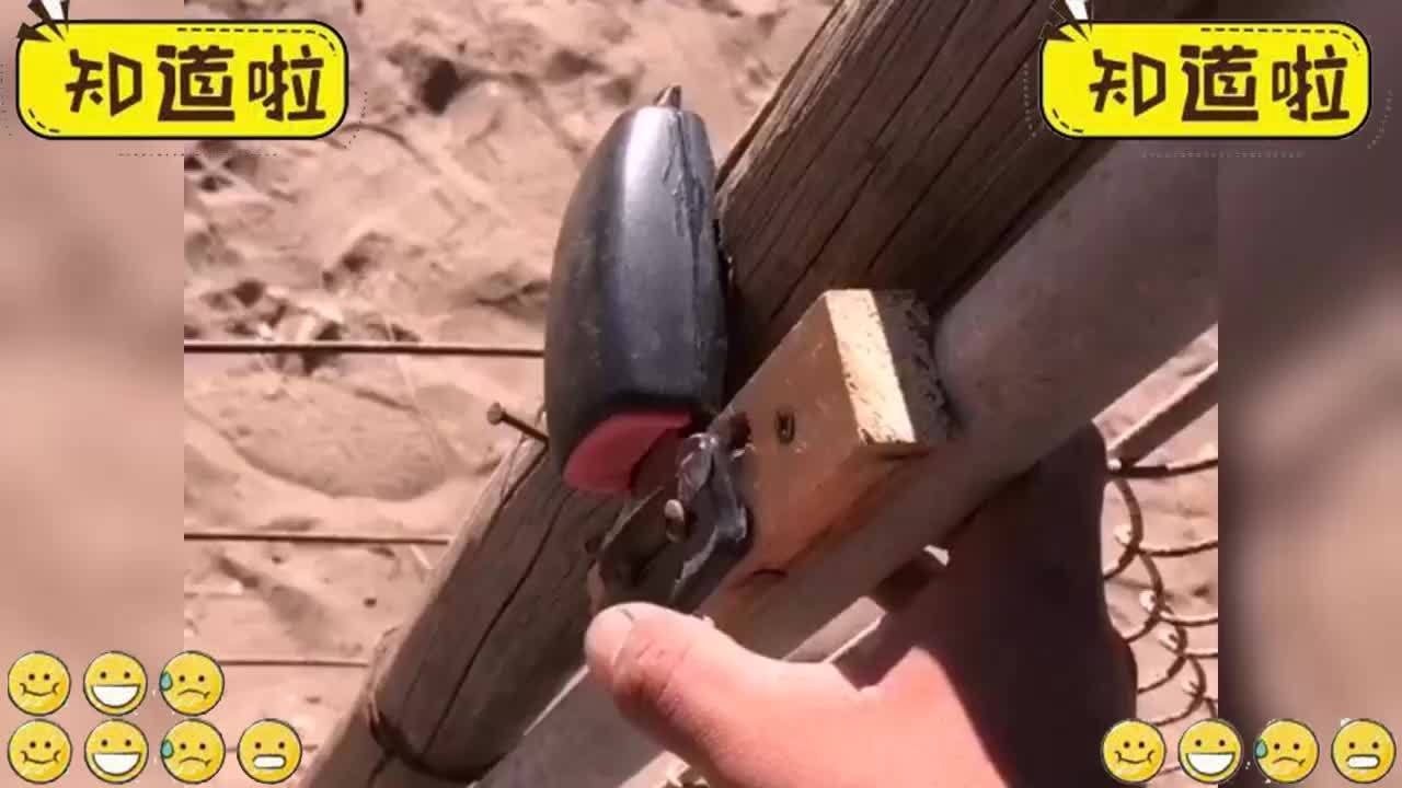 发明的安全门,准备申请专利,你看中不?