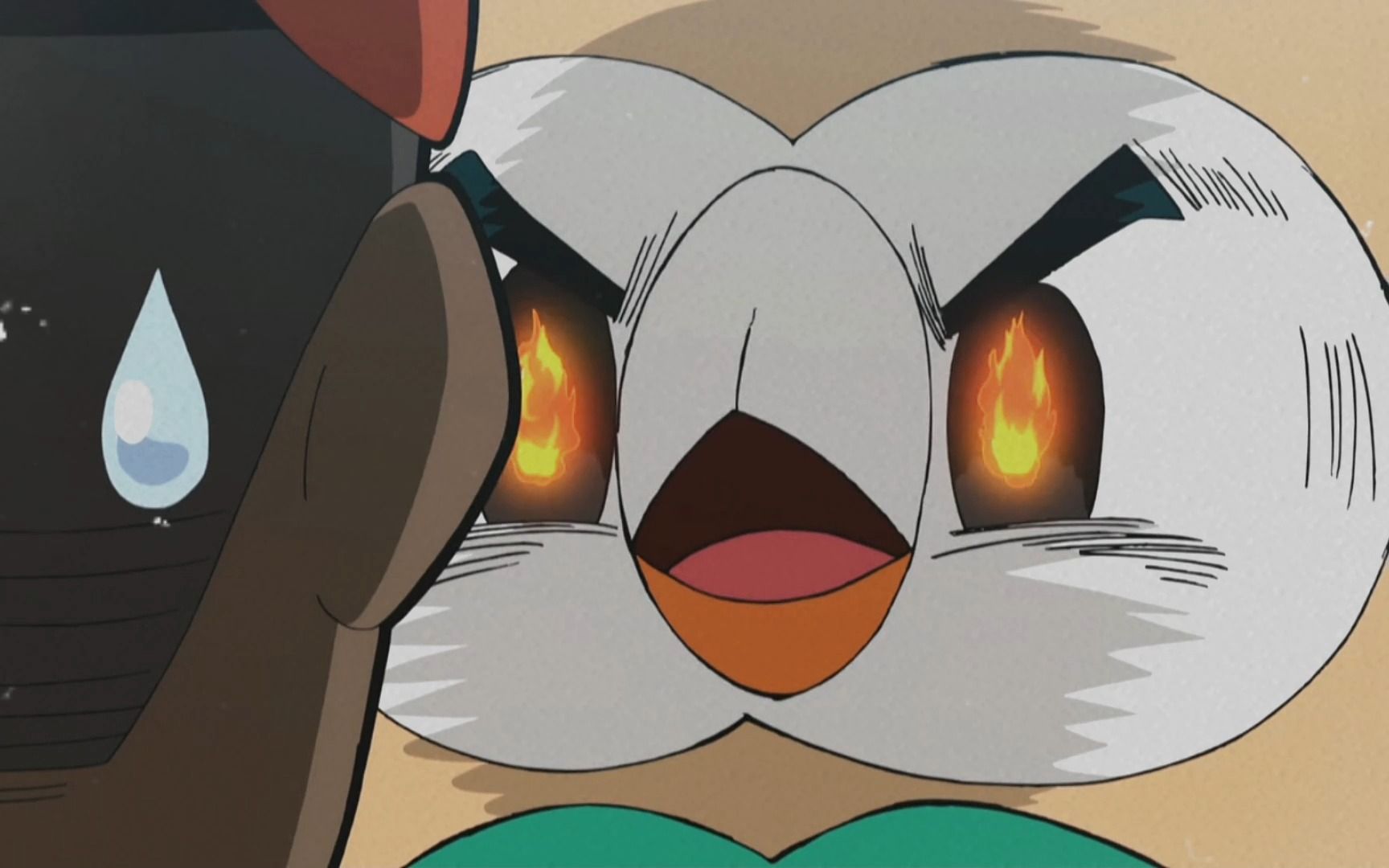 【宝可梦】木木枭:别再说我只会睡觉啦