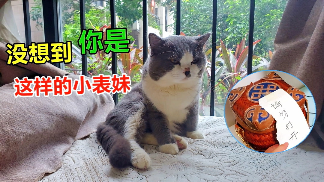 一支给你的视频!揭秘忆涵表姐家,没想到日常的表妹竟然是这样的