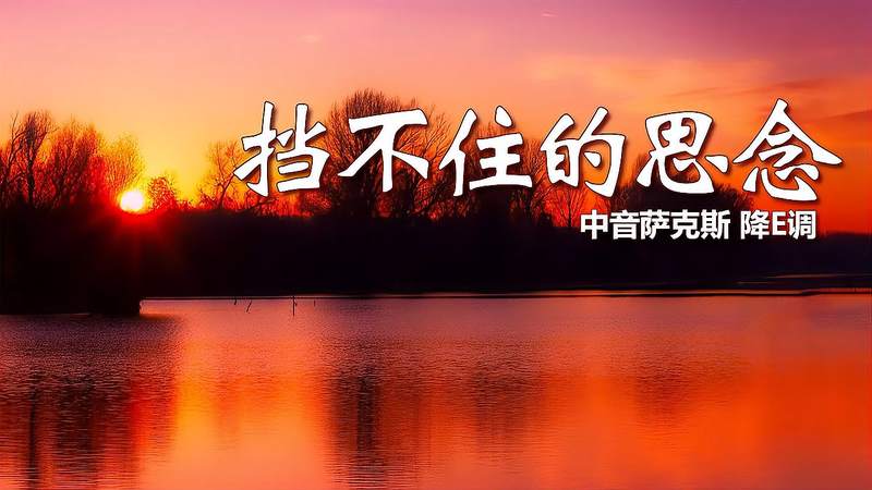 深情婉转《挡不住的思念》,美妙的流行情歌,萨克斯演奏太好听!