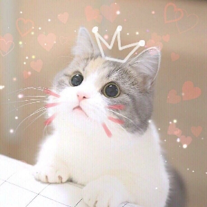 吃个小饼干吧 
