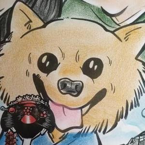 仙草迪 