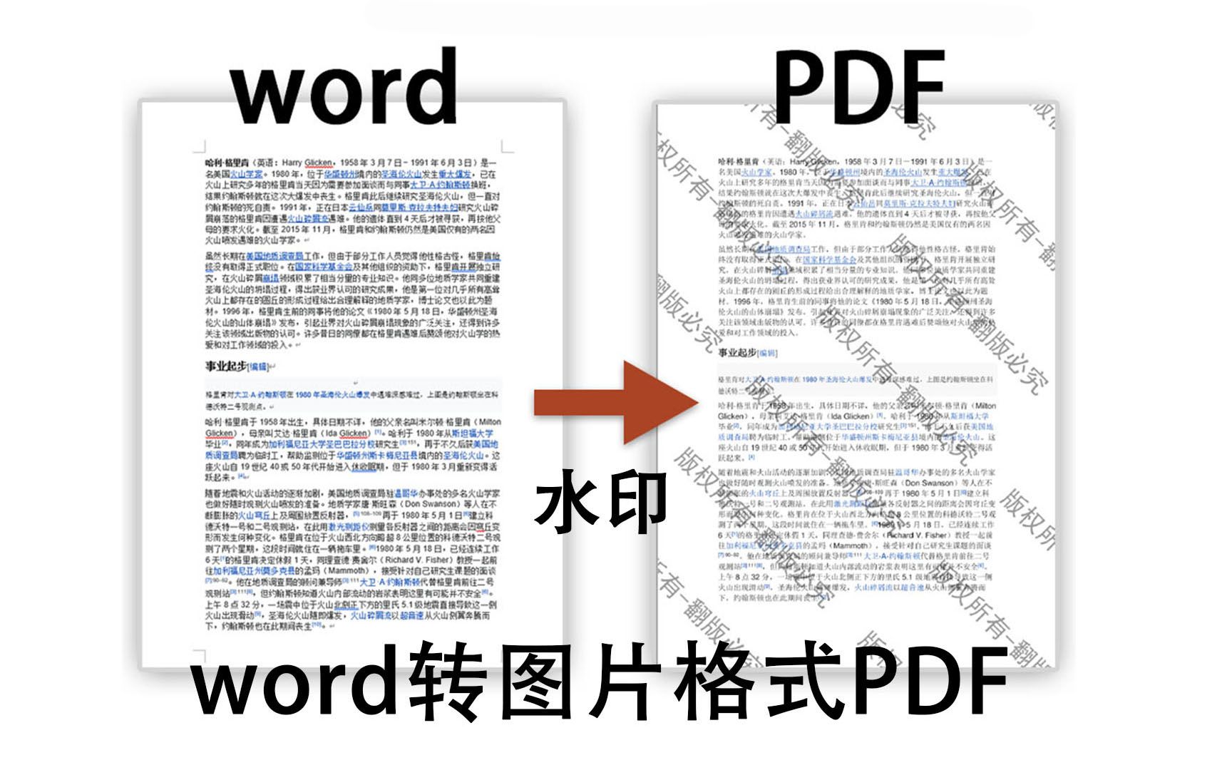 word转图片格式PDF教程 加水印版权保护word加水印 pdf加水印 不能...