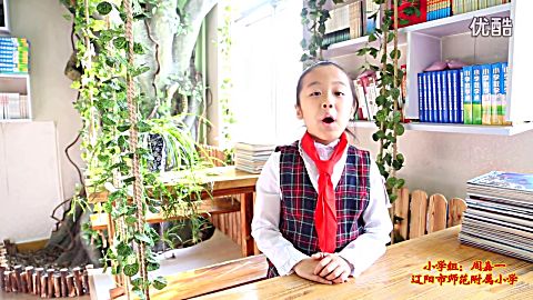 弘扬宪法精神 做知法守法好少年