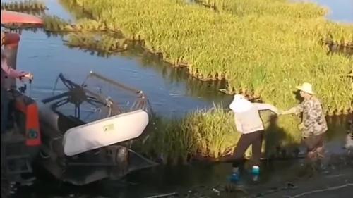 水稻的收割现场,现在都是用高科技收获了,大大减轻了乡下负担