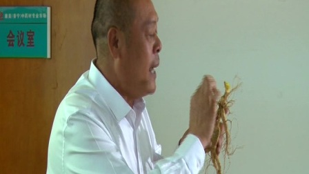 五形细说野山参(一)