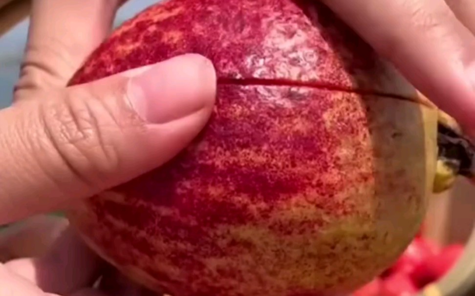 谁能拒绝这些美味的水果