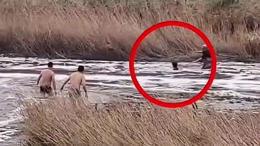 大叔舍命跳河救落水女子,救起女子后无人问津:心寒