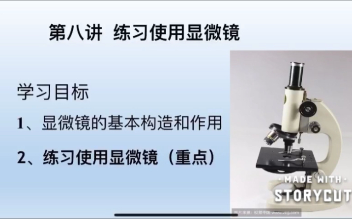 练习使用显微镜