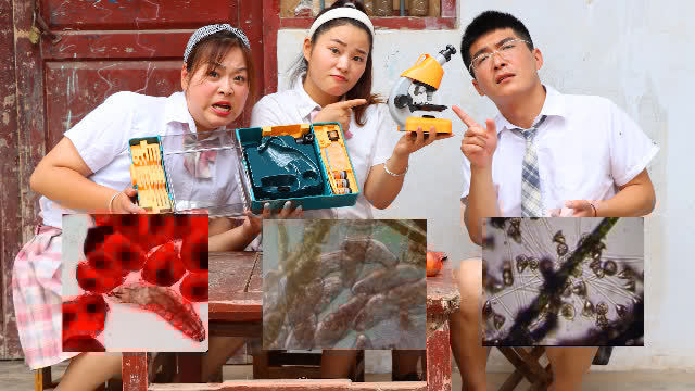 同学们吃东西不洗手,小楠用显微镜看到细菌,要讲究卫生哦