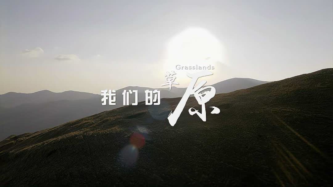 云南生物多样性保护宣传片《我们的草原》
