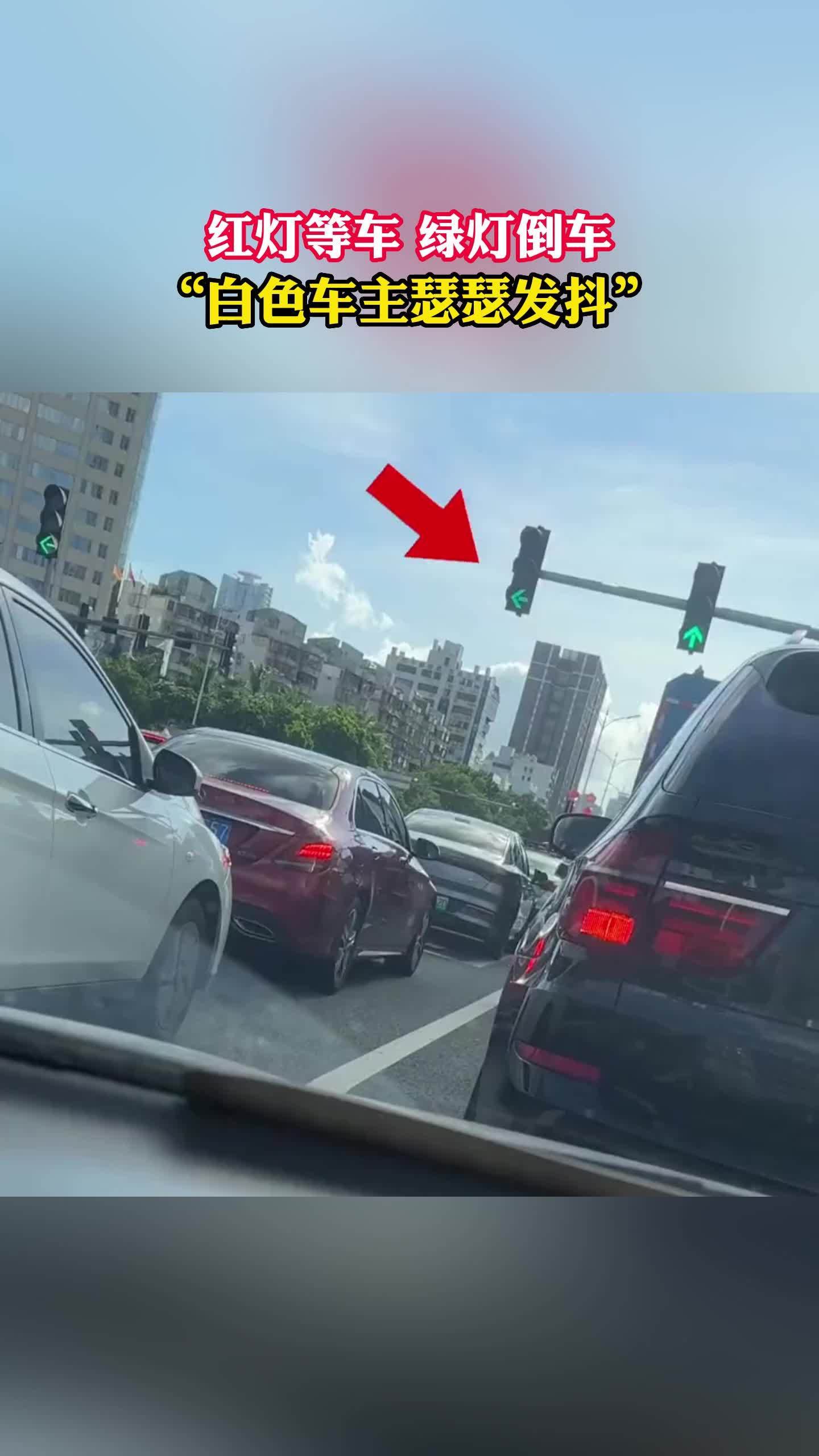 红灯等车 绿灯倒车 "白色车主瑟瑟发抖"
