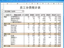 《Excel数据透视表应用大全》制作复合分类项数据透视表