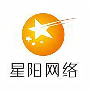 星阳网络科技 