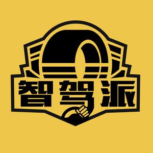智驾派 