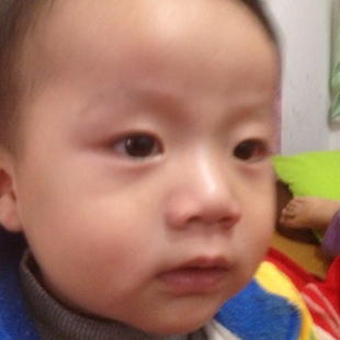 siri会说GoGoGo 